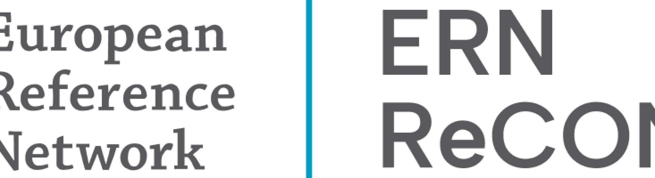 ERN ReCONNET bursaries for EULAR 2023 - ERN ReCONNET | European ...